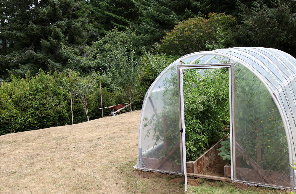 garden chat – ShopInfusion